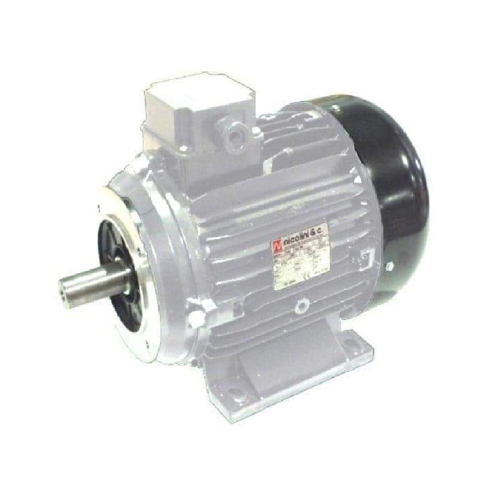 NICOLINI Male Shaft Electric Motor 4-Poles 3kW 4HP 1450Rpm 220V (Grey ...