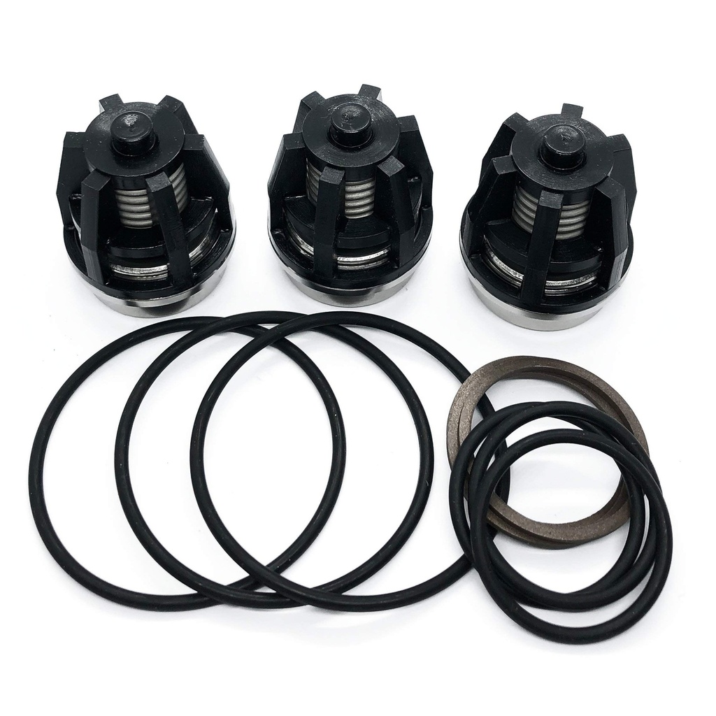 INTERPUMP KIT295 High Pressure Pump External Valve Kit For AB140 ...